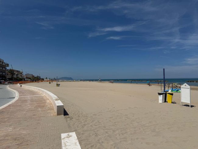 Multata in spiaggia per il cane: «Sul sito era indicata come area pet ...